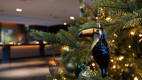 Herinnering - kerstbuffet Regio Noord! - Hersenletsel